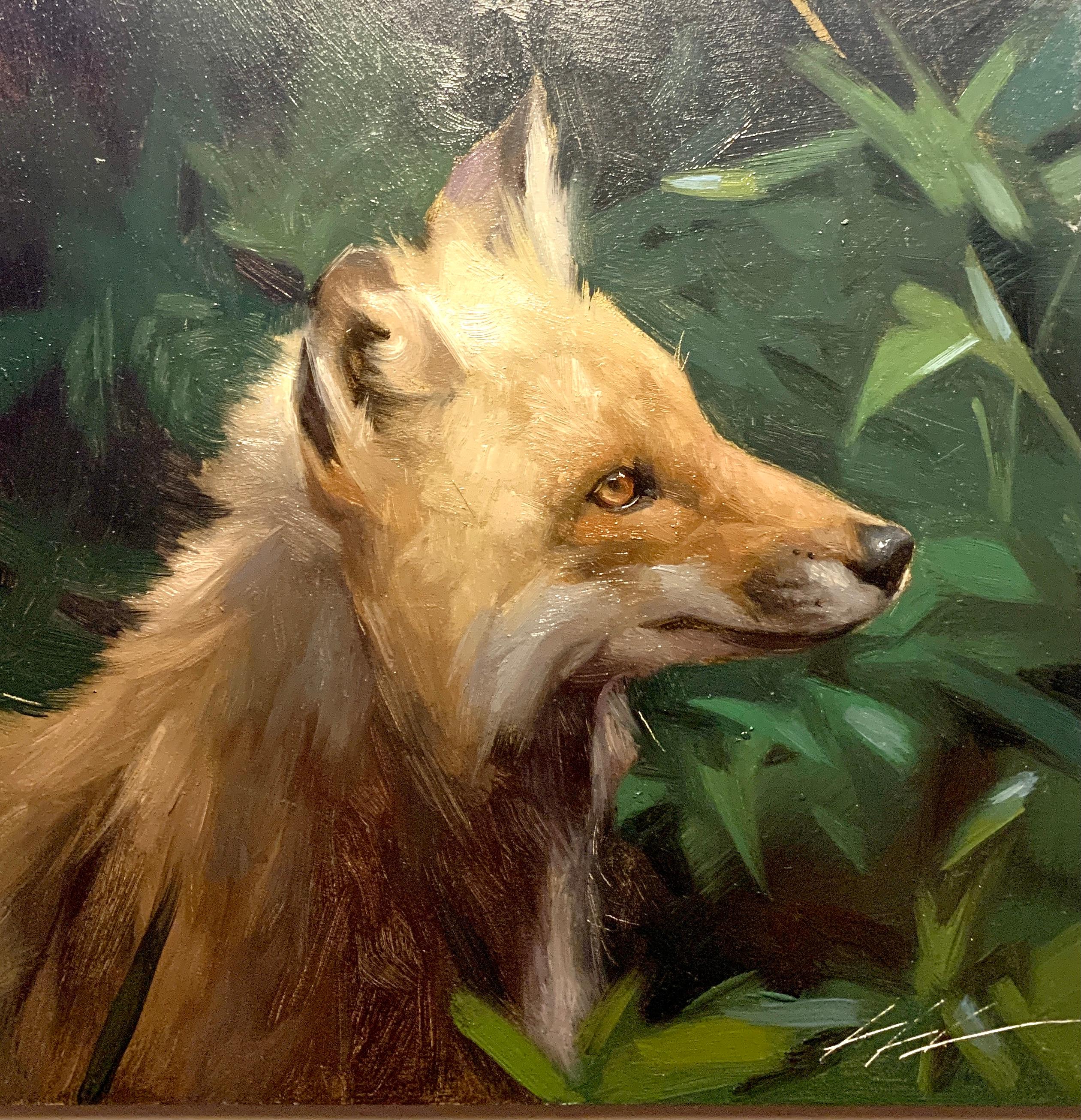 Jennifer Gennari - Realistic portrait study of an American Fox, in a ...