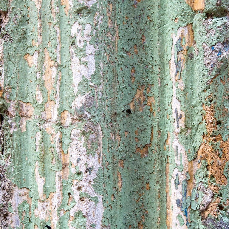 Jennifer Rico - Havana Pantone, Verde Muralla For Sale at 1stDibs