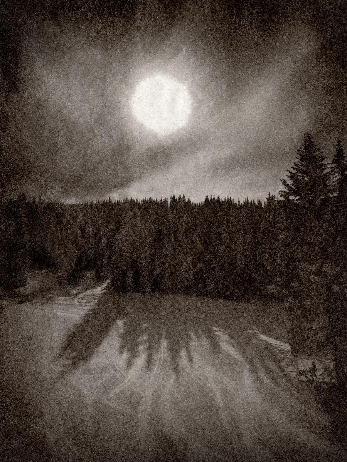 Jennifer Schlesinger - Utopia 6, 2014, hand coated albumen print For ...