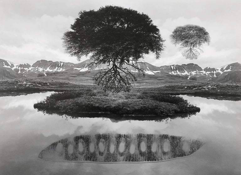 Jerry Uelsmann - Jerry Uelsmann, Untitled, 1969 [floating tree ...