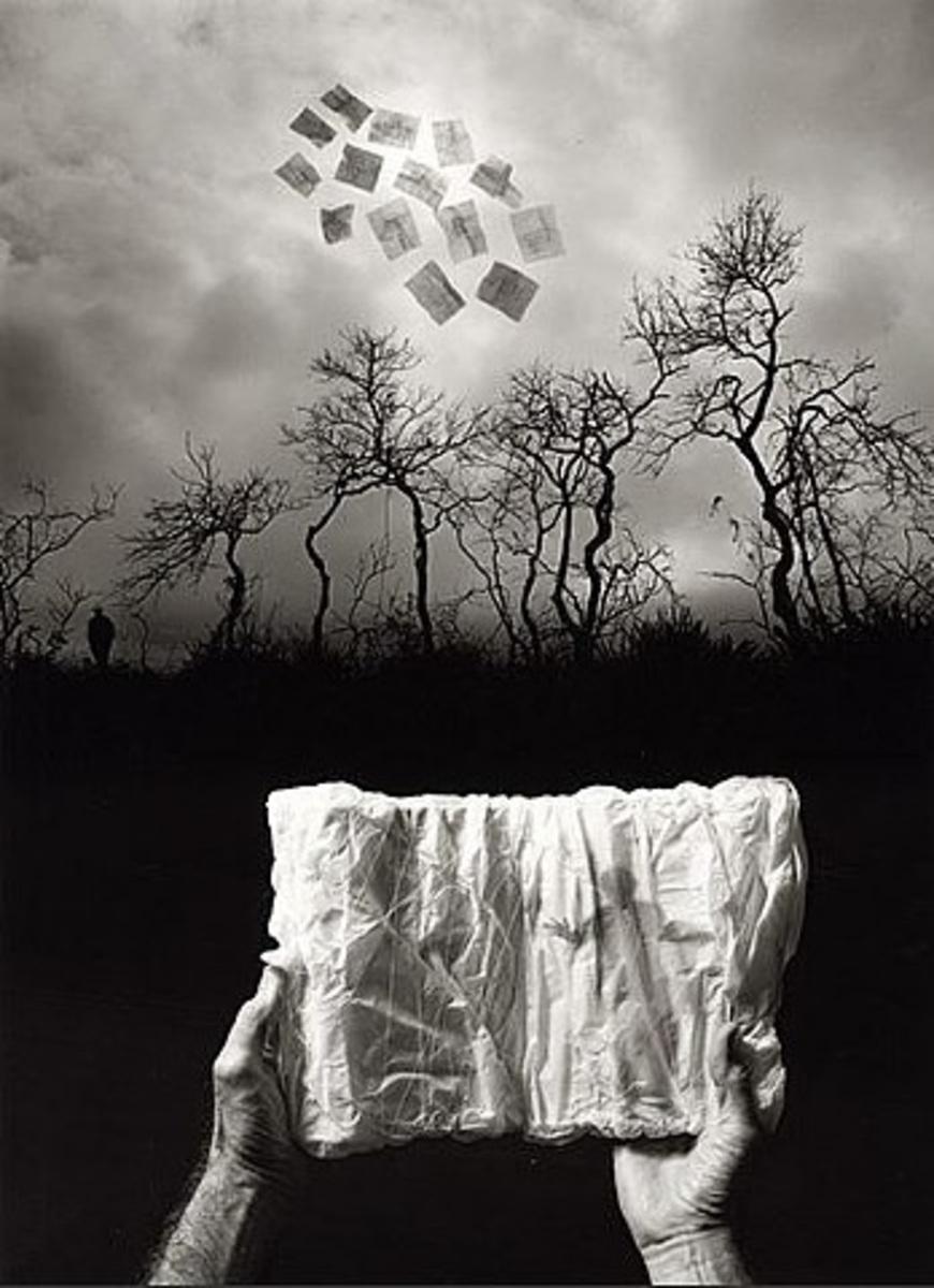 Jerry Uelsmann - Jerry Uelsmann, Elusive Journey For Sale at 1stDibs