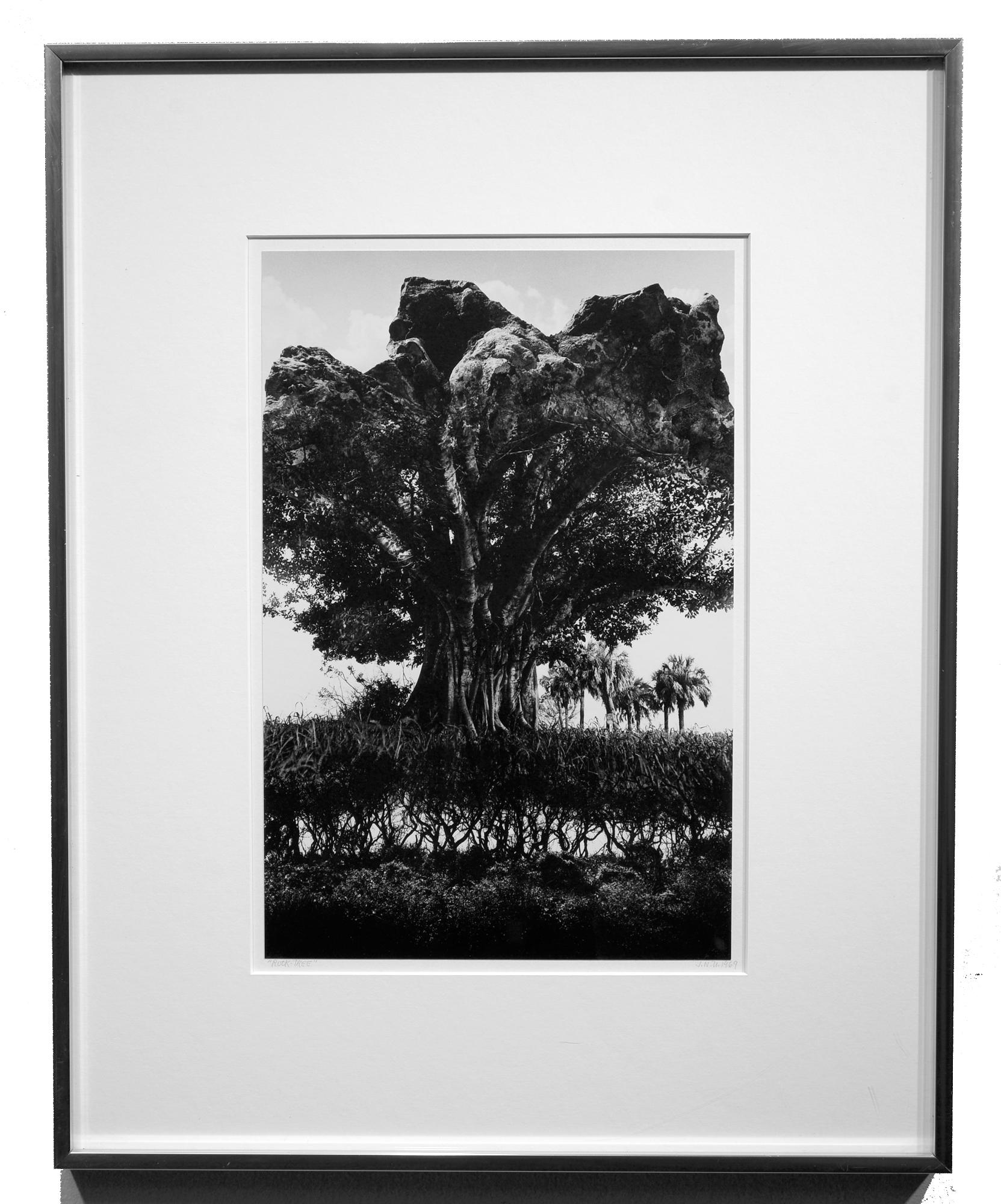 Jerry Uelsmann - Rock Tree, Jerry Uelsmann, Surrealist, Black and White ...