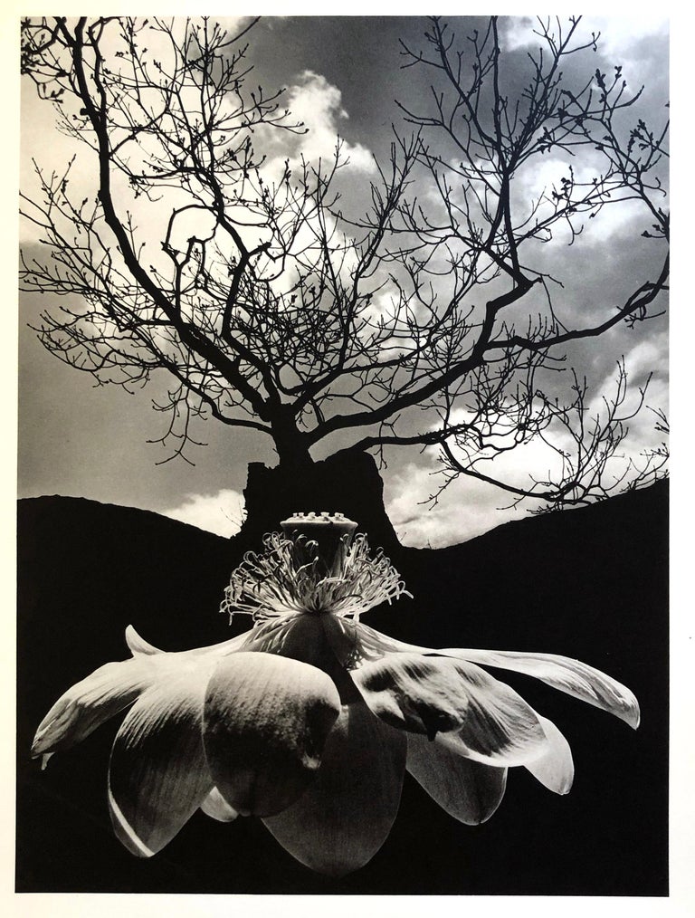 Jerry Uelsmann - A set of 8 Prints by Jerry Uelsmann Surreal Figurative ...