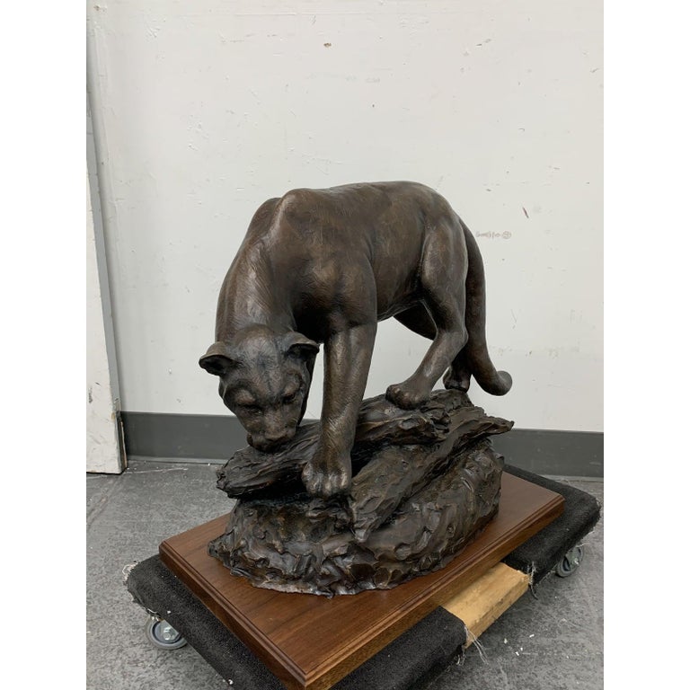 Jim Agius Signed and Numbered "Cougar, Ghost of the Rockies" Bronze ...