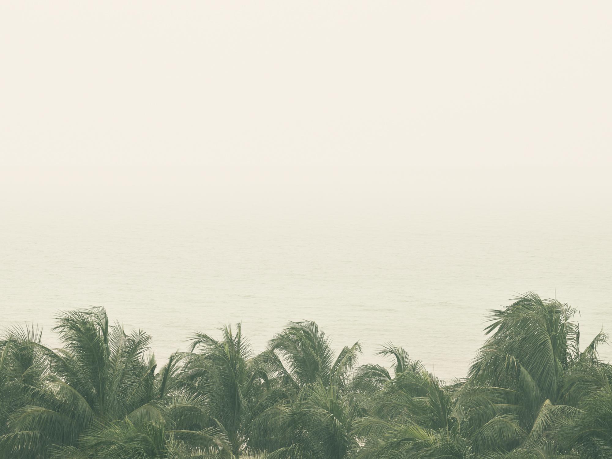 Jin-woo Prensena - Tropic Thunder II (Miami, Florida) For Sale at 1stDibs