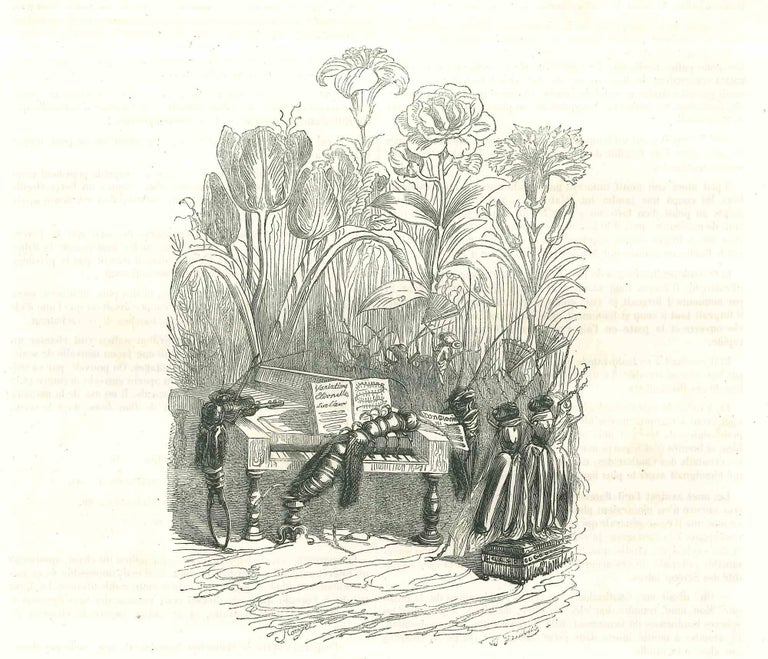 J.J. Grandville - The Concert Of Insects Between Roses - Lithograph by ...