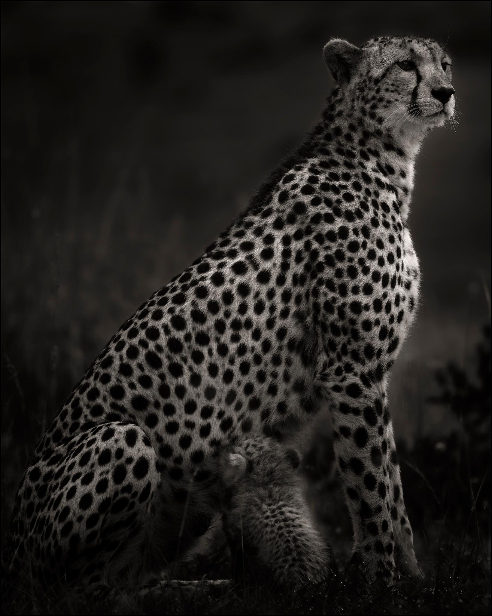 Portrait Photography at 1stDibs | markus klinko, fotograaf terry o ...