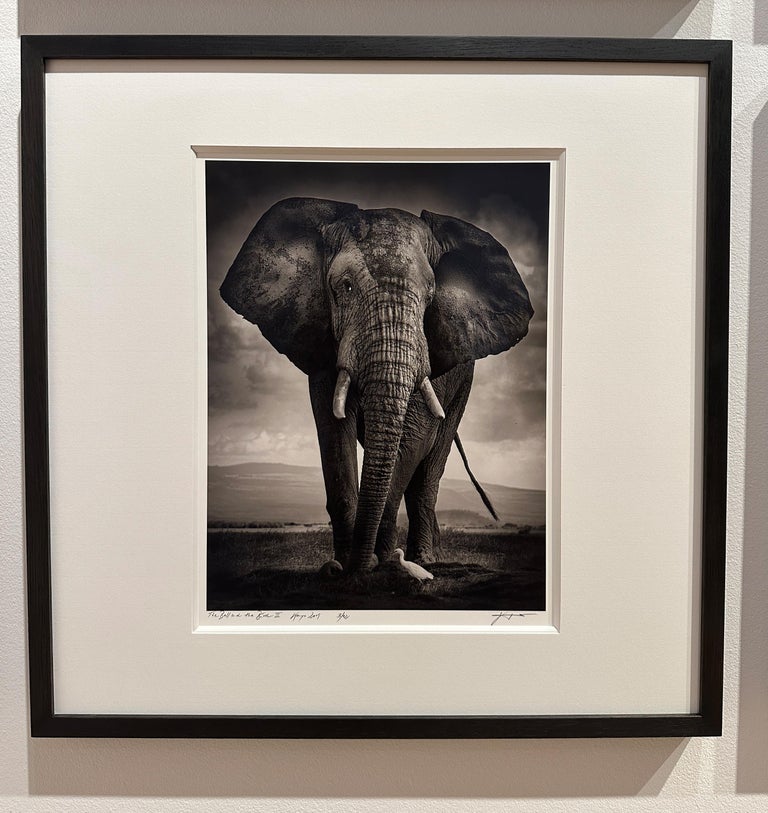 Joachim Schmeisser - The bull and the bird III, Elephant, animal ...