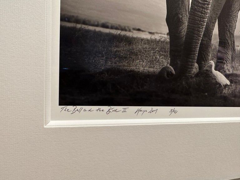 Joachim Schmeisser - The bull and the bird III, Elephant, animal ...