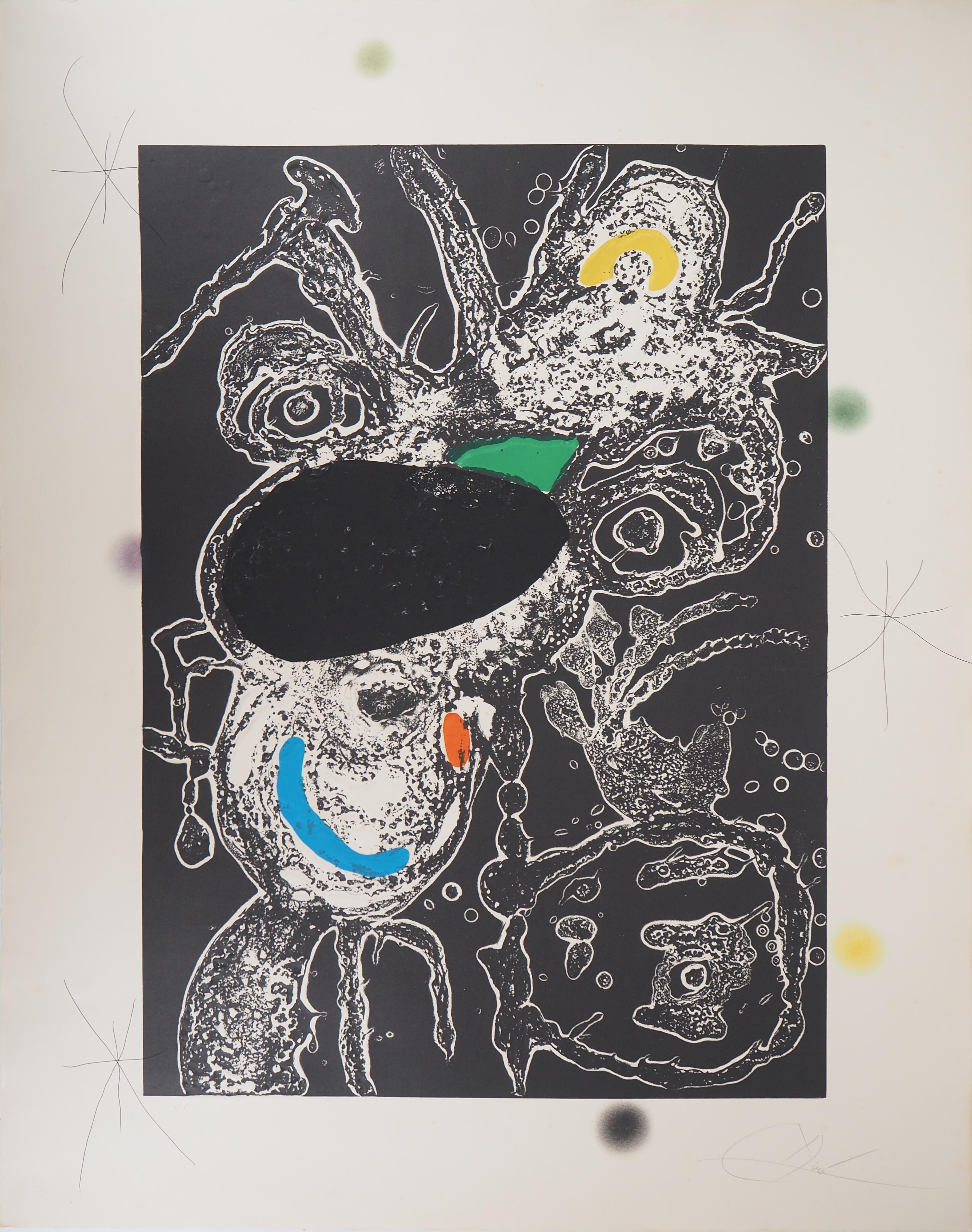 Joan Miró - Cave Paintings V - Original Etching Handsigned - 30 copies ...