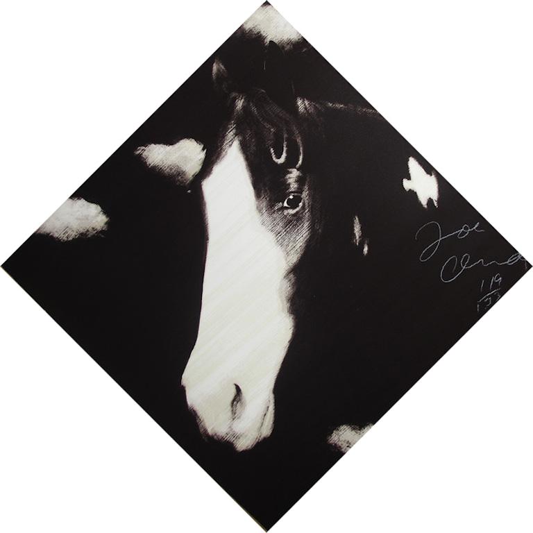 Joe Andoe - Horse I and ll (Set) For Sale at 1stDibs