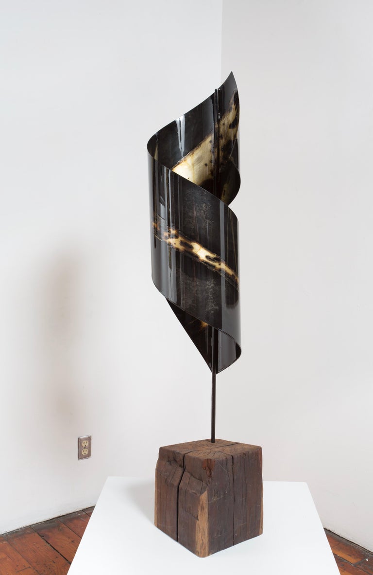 Joel Douek - Shy Cat For Sale at 1stDibs