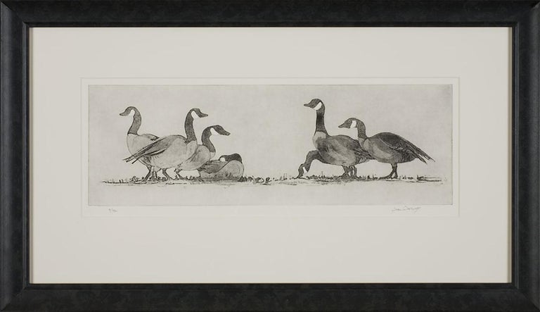 Joel Ostlind - Goose Gabble 4/72 (birds, Canada geese, black and white ...