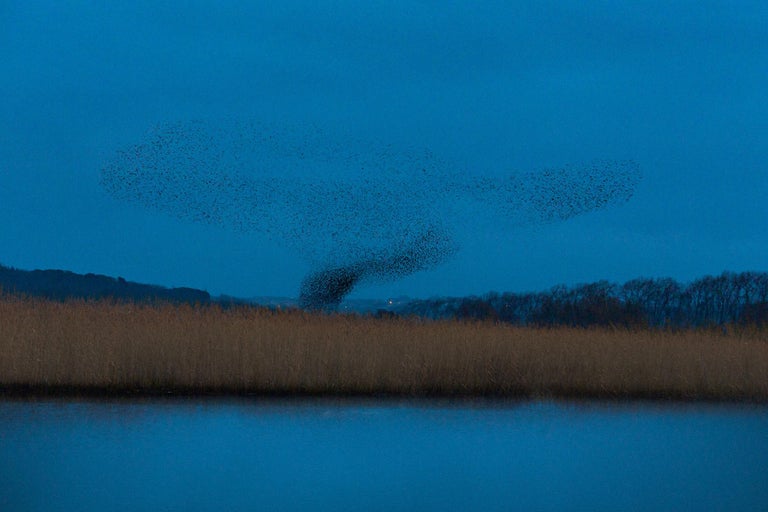 Johann Fournier - Bleus Refuges - Colour Photography, Landscape ...