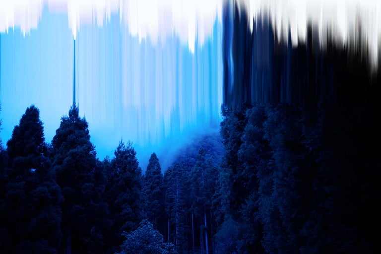 Johann Fournier - Des forêts - Colour Photography, Limited Edition ...