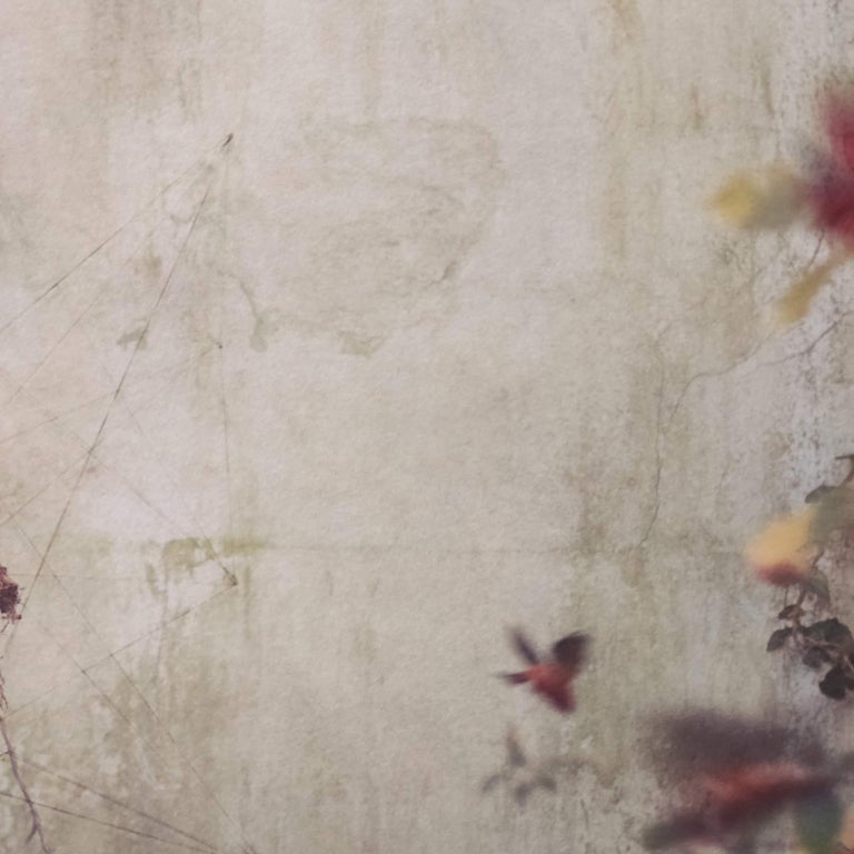 Johann Fournier - Je crois en la symétrie - Color Photography, Nature ...