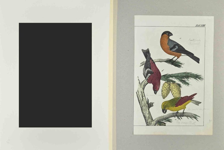 Johann Friedrich Naumann - The Cross Bell - Etching by Johann Friedrich ...