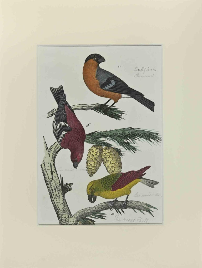 Johann Friedrich Naumann - The Cross Bell - Etching by Johann Friedrich ...