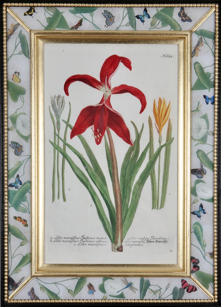 Johann Wilhelm Weinmann - Johann Weinmann : Mezzotint engraving in a ...