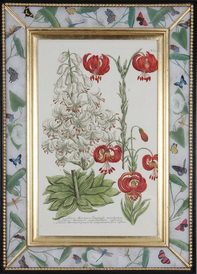 Johann Wilhelm Weinmann - Johann Weinmann : Mezzotint engraving in a ...