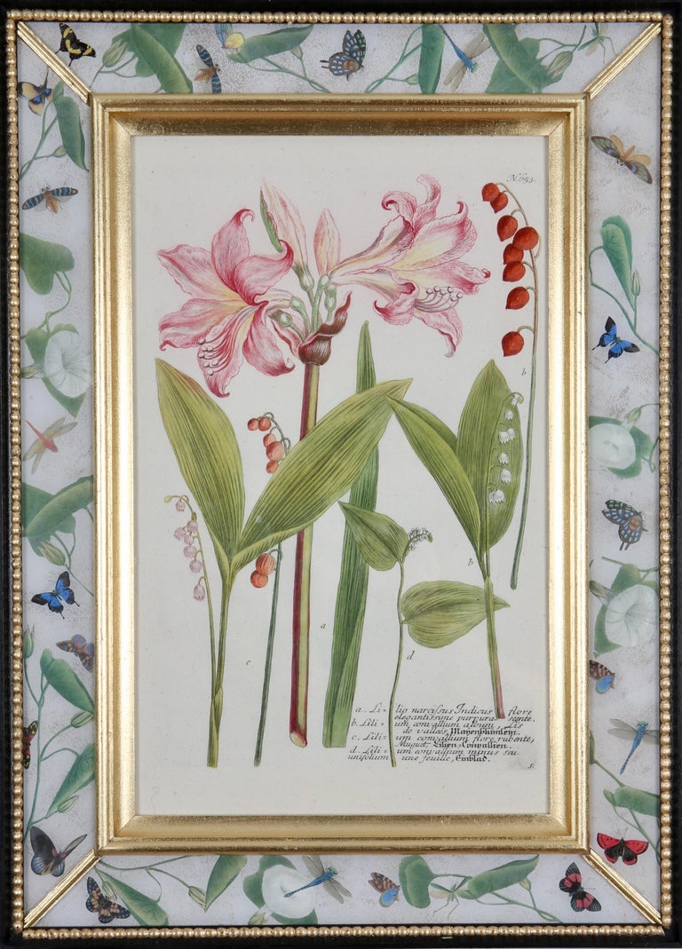 Johann Wilhelm Weinmann - Johann Weinmann : Mezzotint engraving in a ...