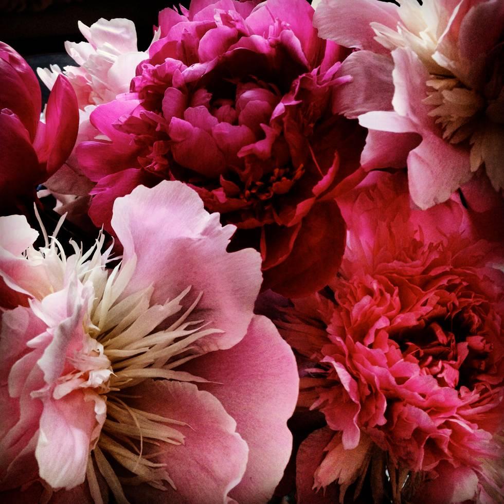 John Arsenault - 1:02 pm For Sale at 1stDibs