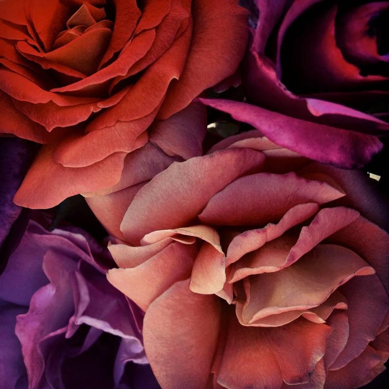 John Arsenault - 1:07 pm For Sale at 1stDibs