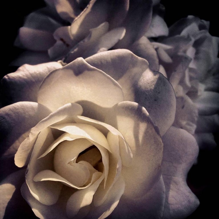 John Arsenault - 11:56 am For Sale at 1stDibs