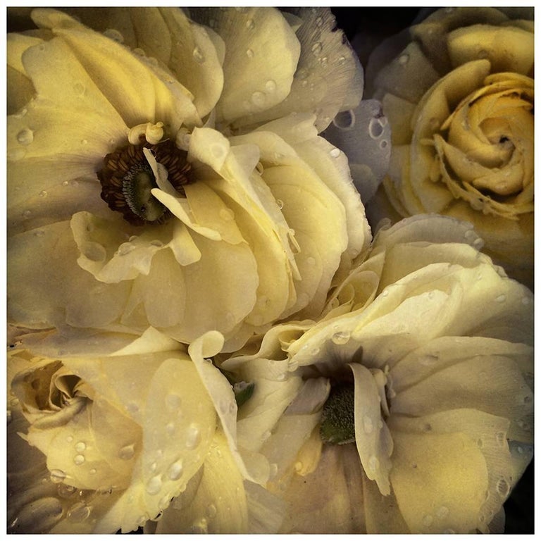 John Arsenault - 1:44 pm For Sale at 1stDibs