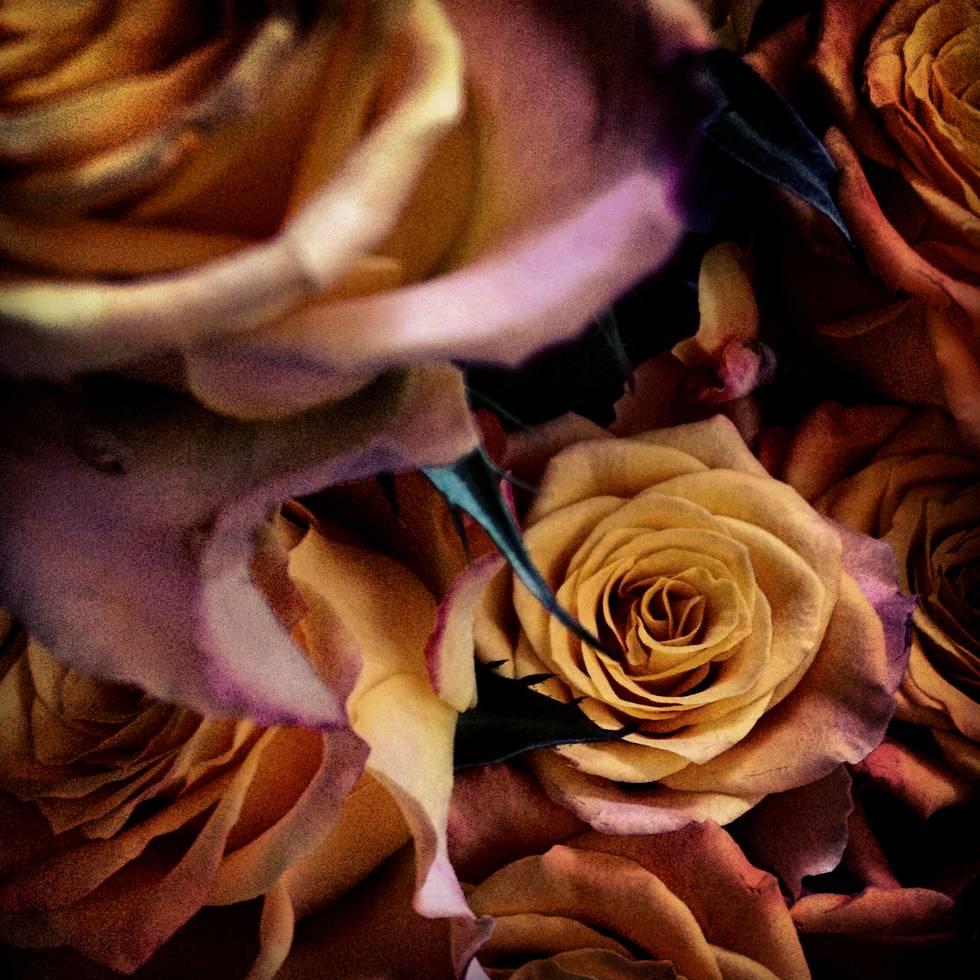 John Arsenault - 11:28 am For Sale at 1stDibs