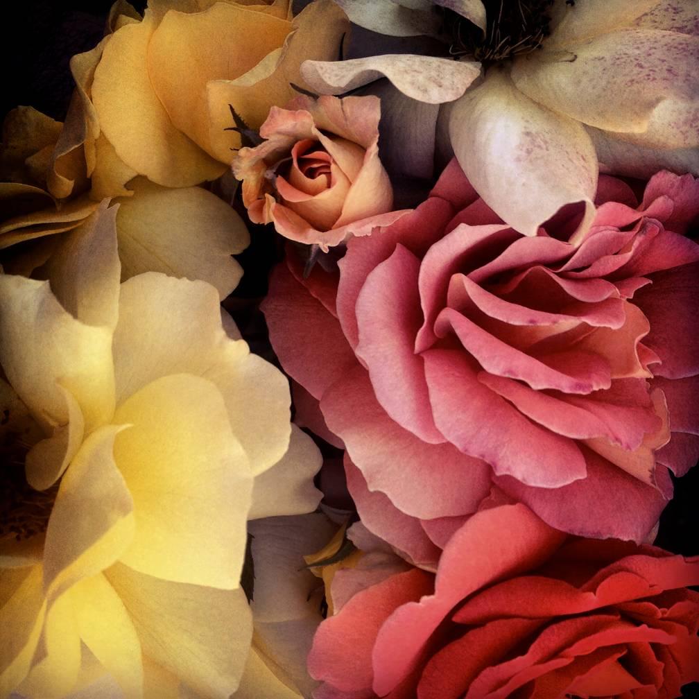 John Arsenault - 1:02 pm For Sale at 1stDibs