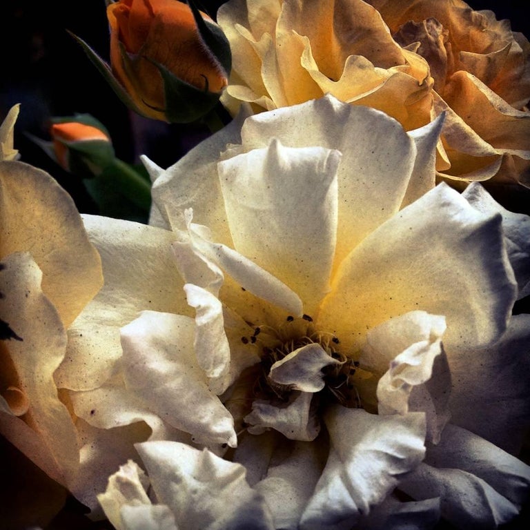 John Arsenault - 3:34 pm For Sale at 1stDibs