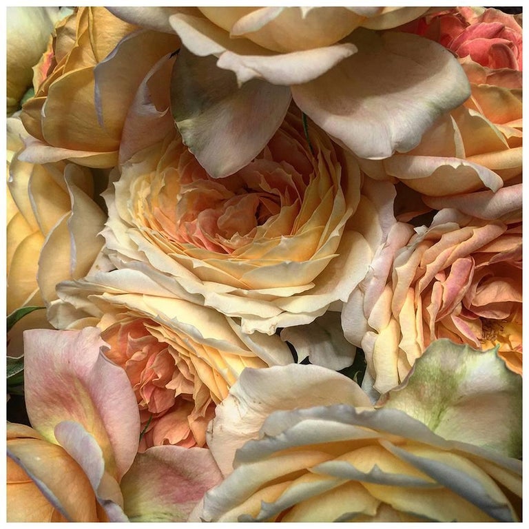 John Arsenault - 4:33 pm For Sale at 1stDibs