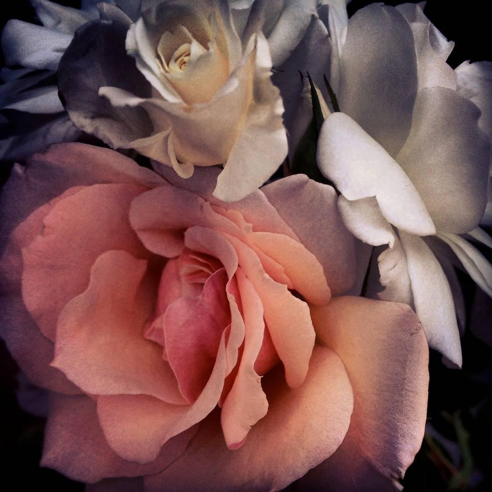 John Arsenault - 1:44 pm For Sale at 1stDibs