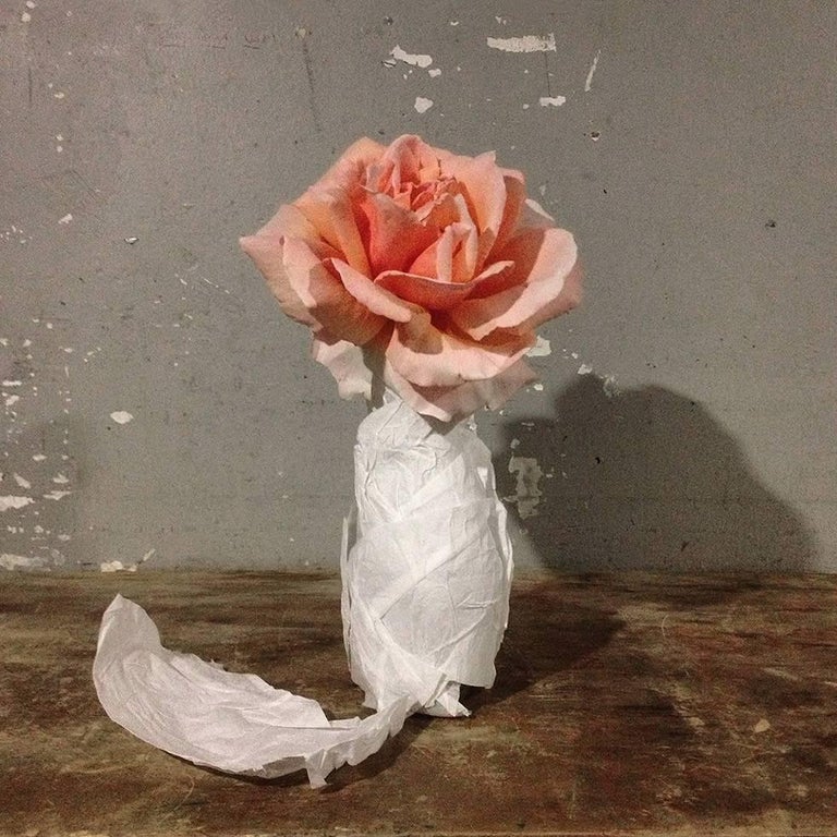 John Arsenault - Rose in a Bottle For Sale at 1stDibs