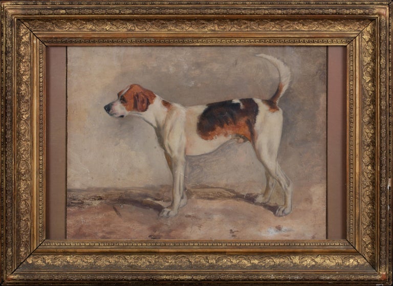 John Emms - Portrait Of A Brush, A New Forest Foxhound, 19th Century ...