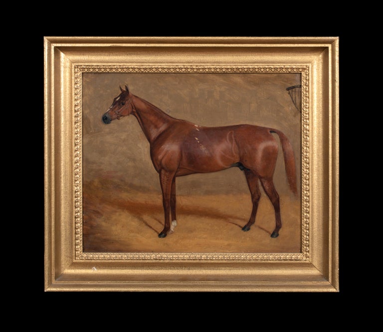 Portrait Of A Chestnut Hunter, 19th Century For Sale at 1stDibs