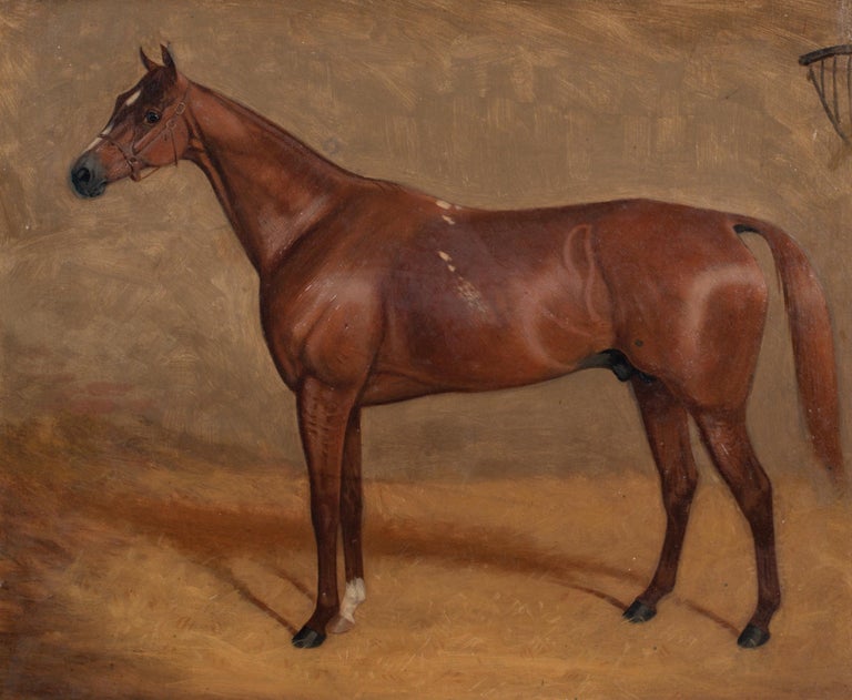 Portrait Of A Chestnut Hunter, 19th Century For Sale at 1stDibs