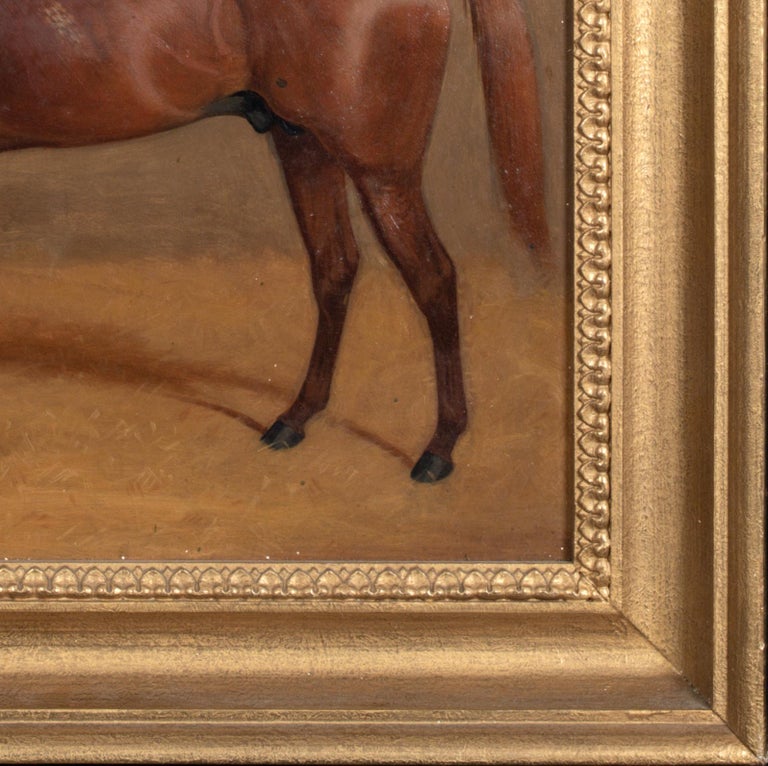 Portrait Of A Chestnut Hunter, 19th Century For Sale at 1stDibs