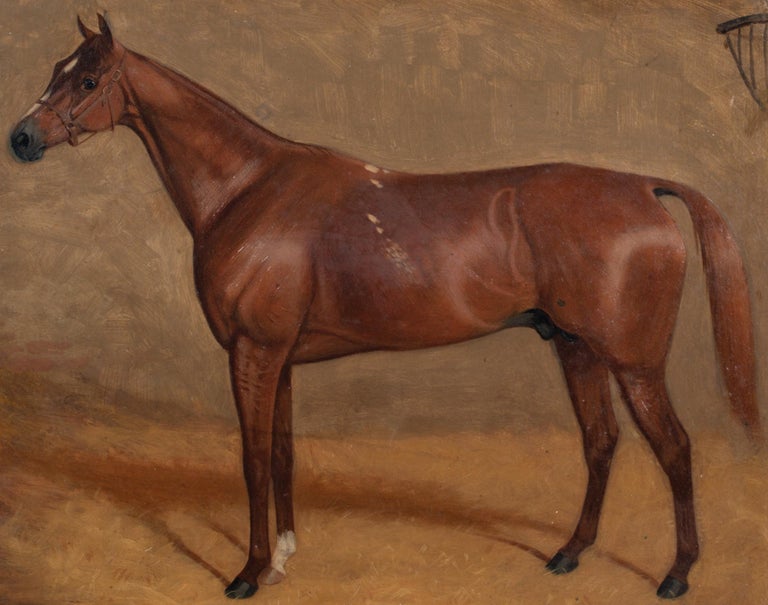 Portrait Of A Chestnut Hunter, 19th Century For Sale at 1stDibs