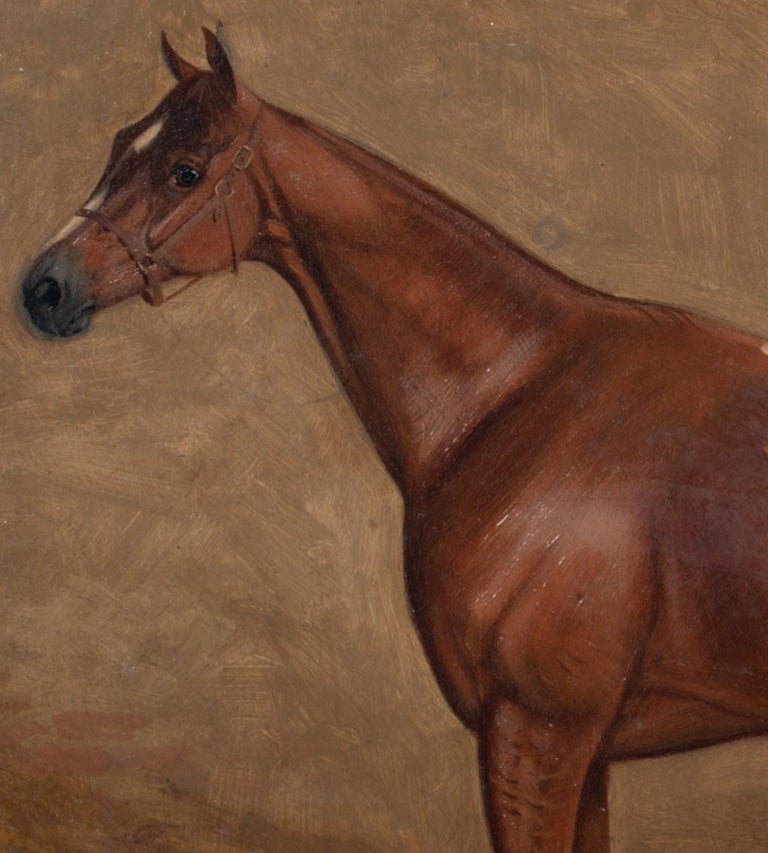 Portrait Of A Chestnut Hunter, 19th Century For Sale at 1stDibs