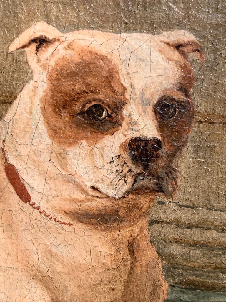Antique 19th century English portrait two Bull Dogs in a yard. For Sale ...