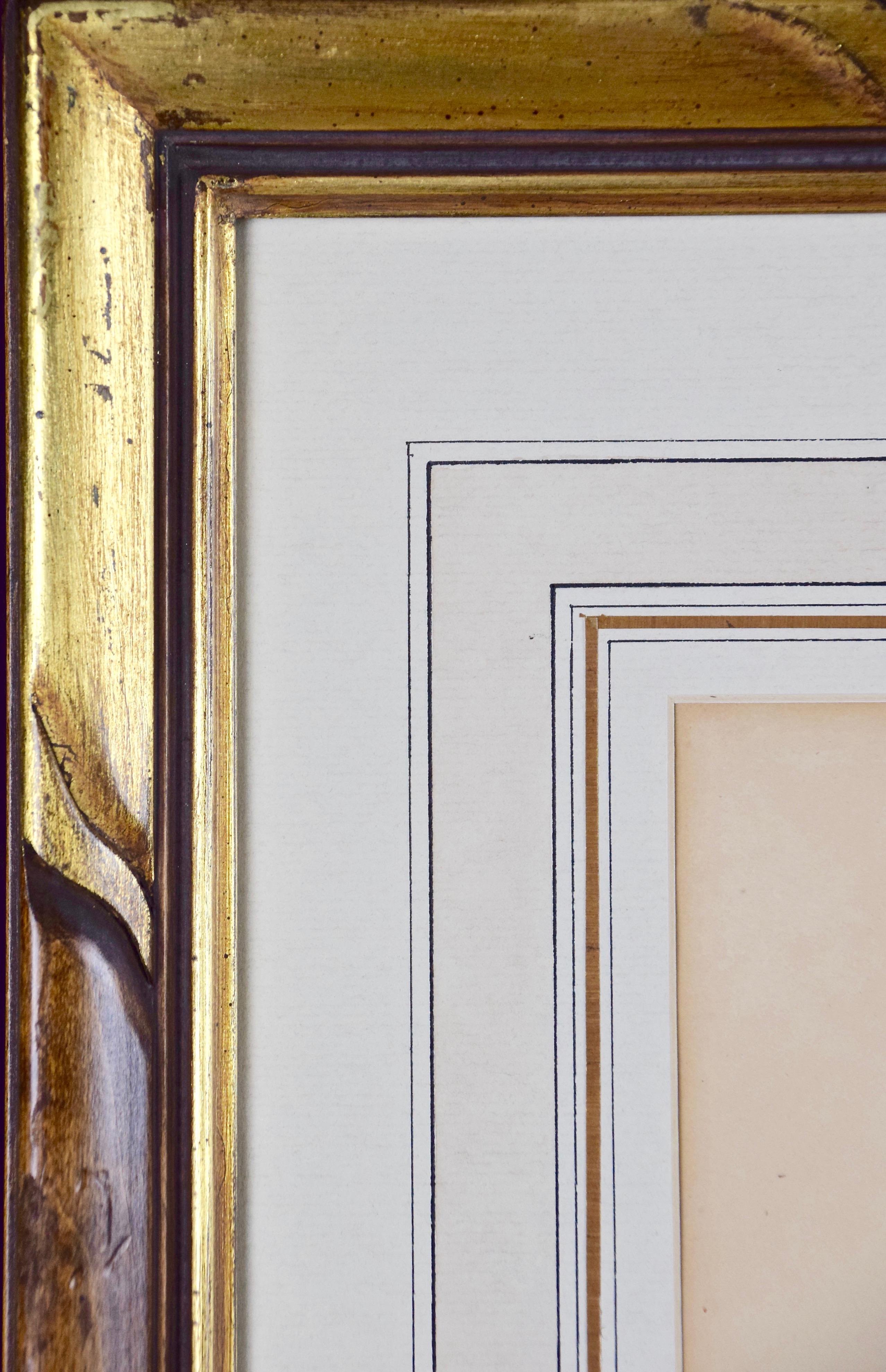 John Gould - Three Gould Hand-colored Lithographs from Birds of ...