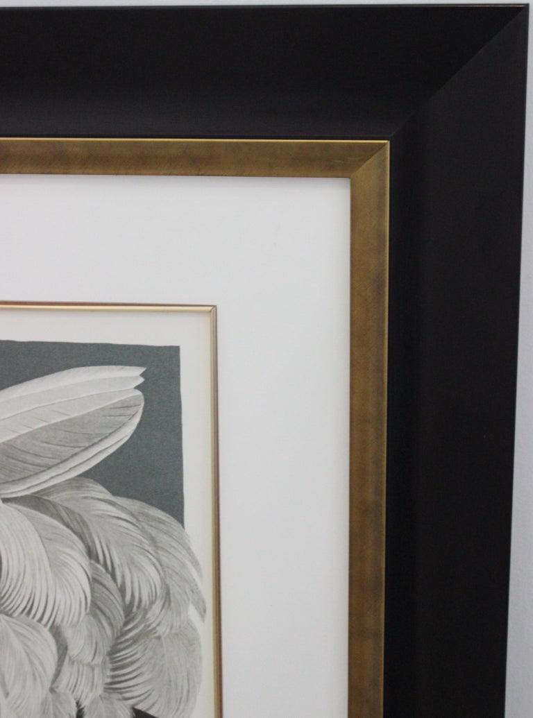 After John James Audubon Print of Whooping Crane by M Bernard Loates ...