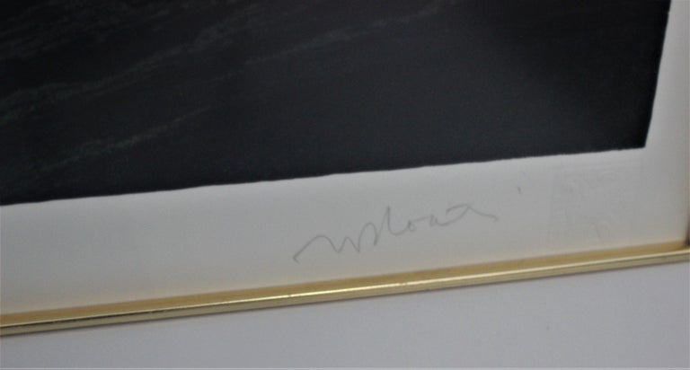 After John James Audubon Print of Whooping Crane by M Bernard Loates ...