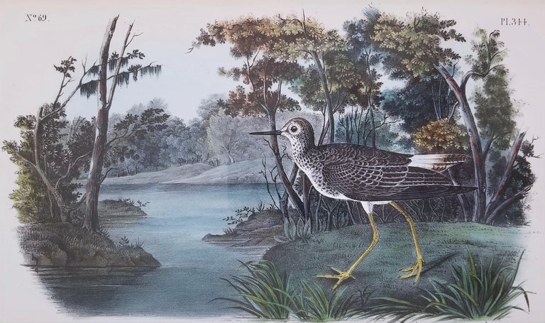 John James Audubon - Yellow Shanks Snipe (South Carolina) For Sale at ...