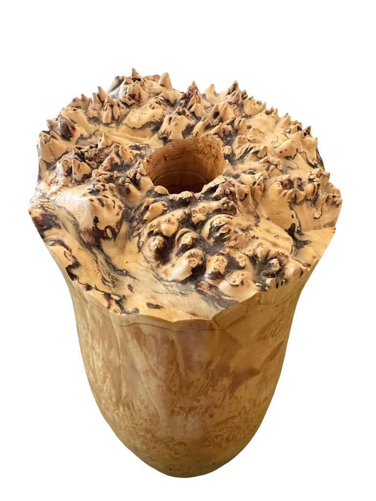 John Mascoll Spalted Maple Burl Wood Vessel For Sale at 1stDibs