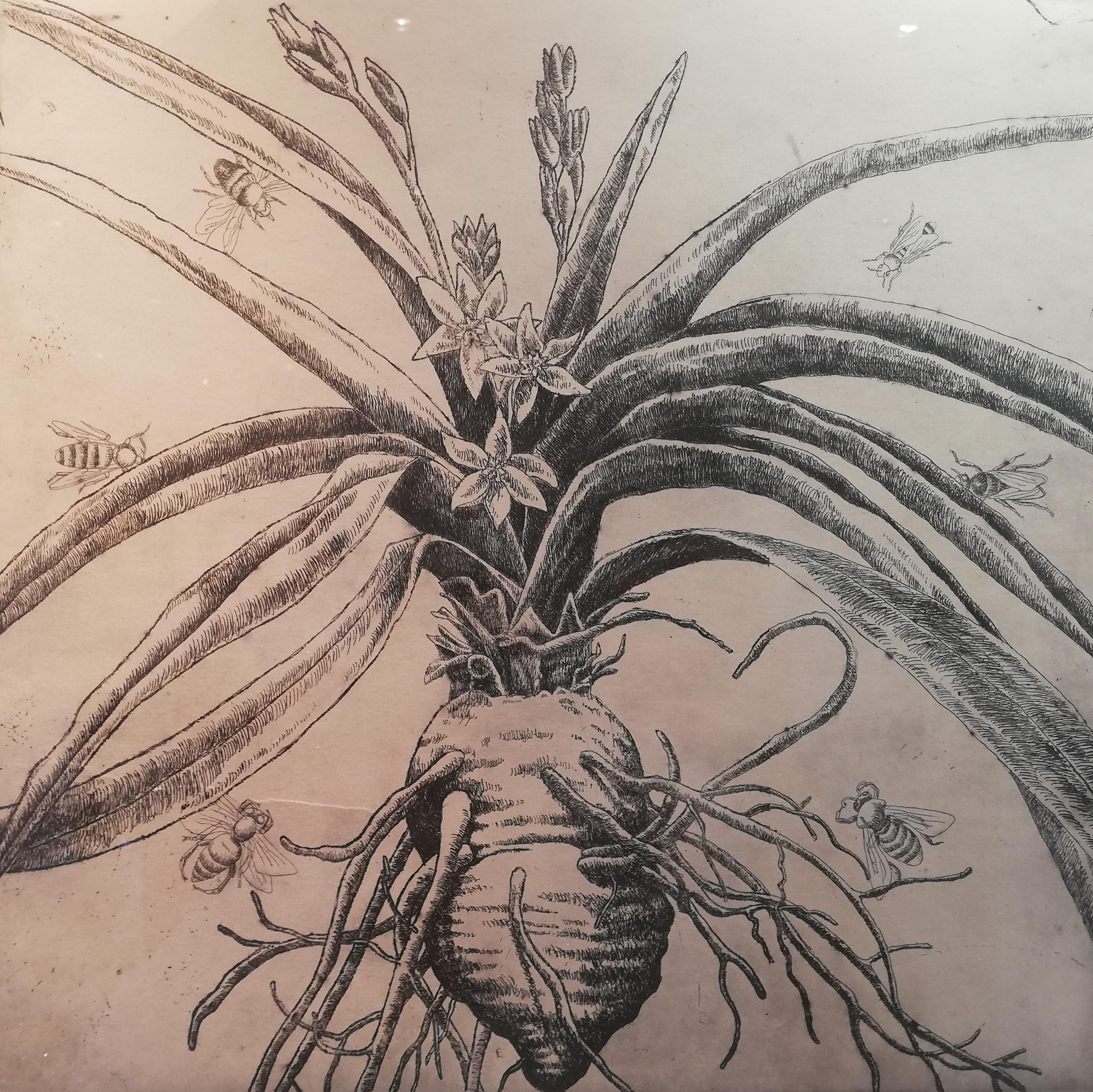 John Moore - Visitors to Inkomfe- Contemporary, Etching, 21st Century ...