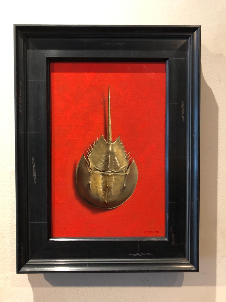 John Morfis - Horseshoe Crab on Red at 1stDibs