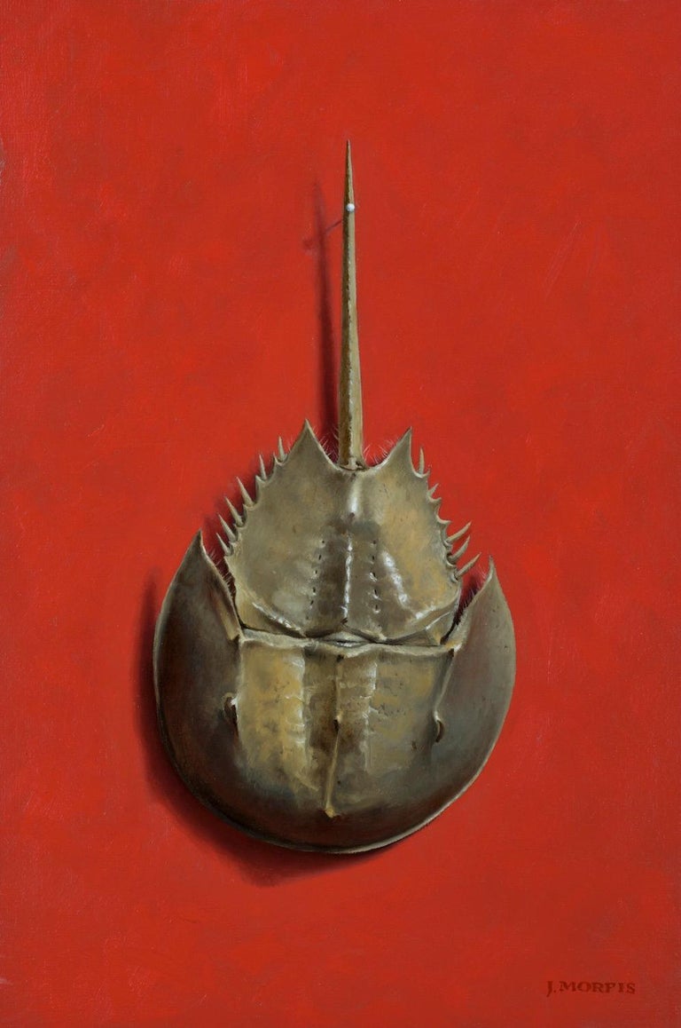 John Morfis - Horseshoe Crab on Red at 1stDibs